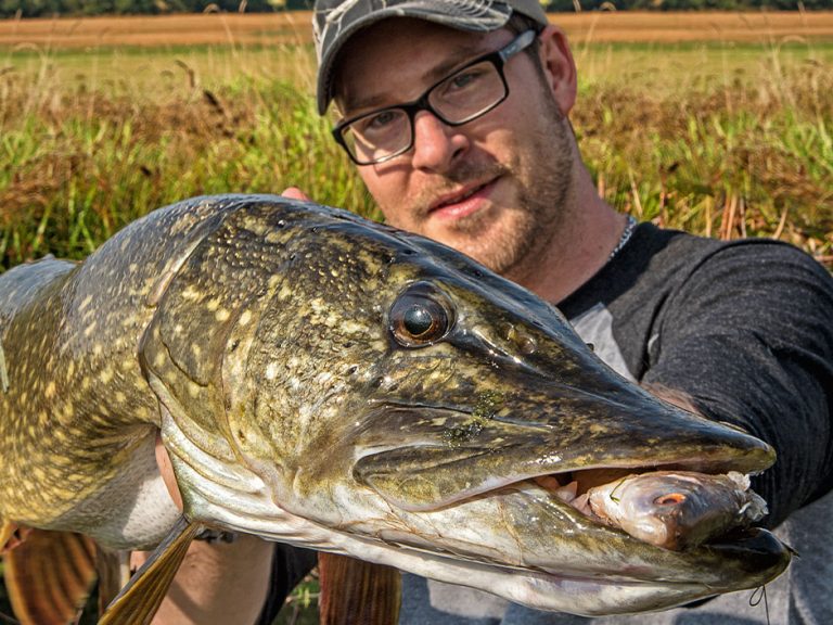 Hechtangeln mit Köderfisch und Pose – Anleitung, Tipps und Tricks