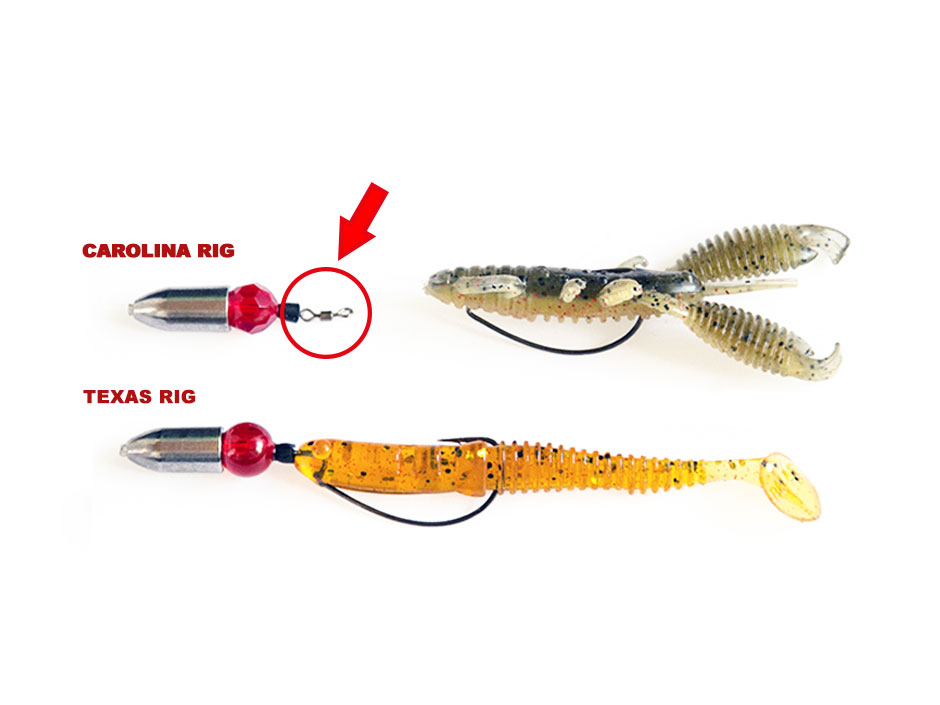 Unterschiede Texas Rig & Carolina Rig